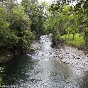 CULTURA – Municipio de Boquerón